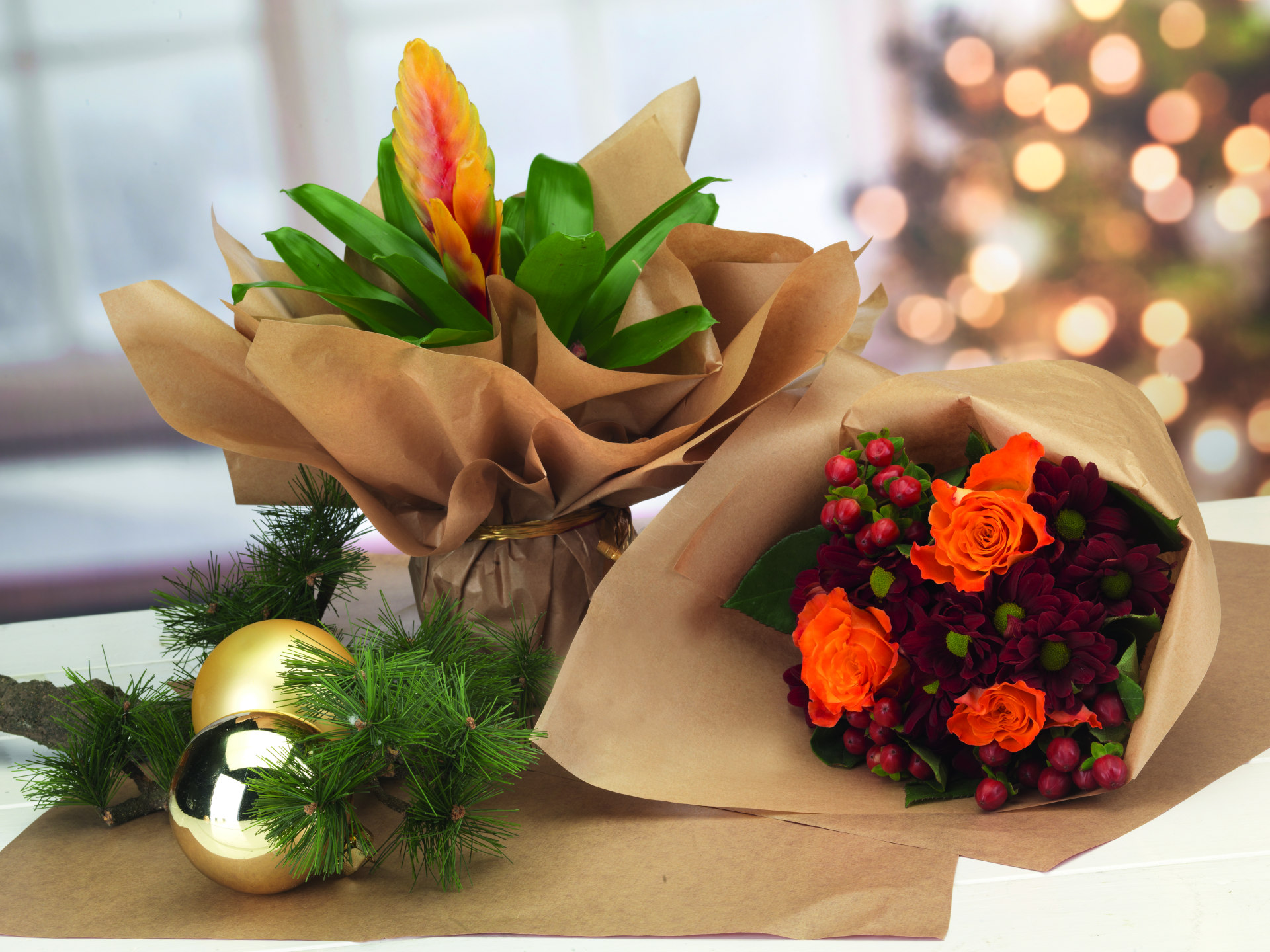 Windmill Distributors - Gift Wrap Rolls, Wrapping paper, Packaging ...